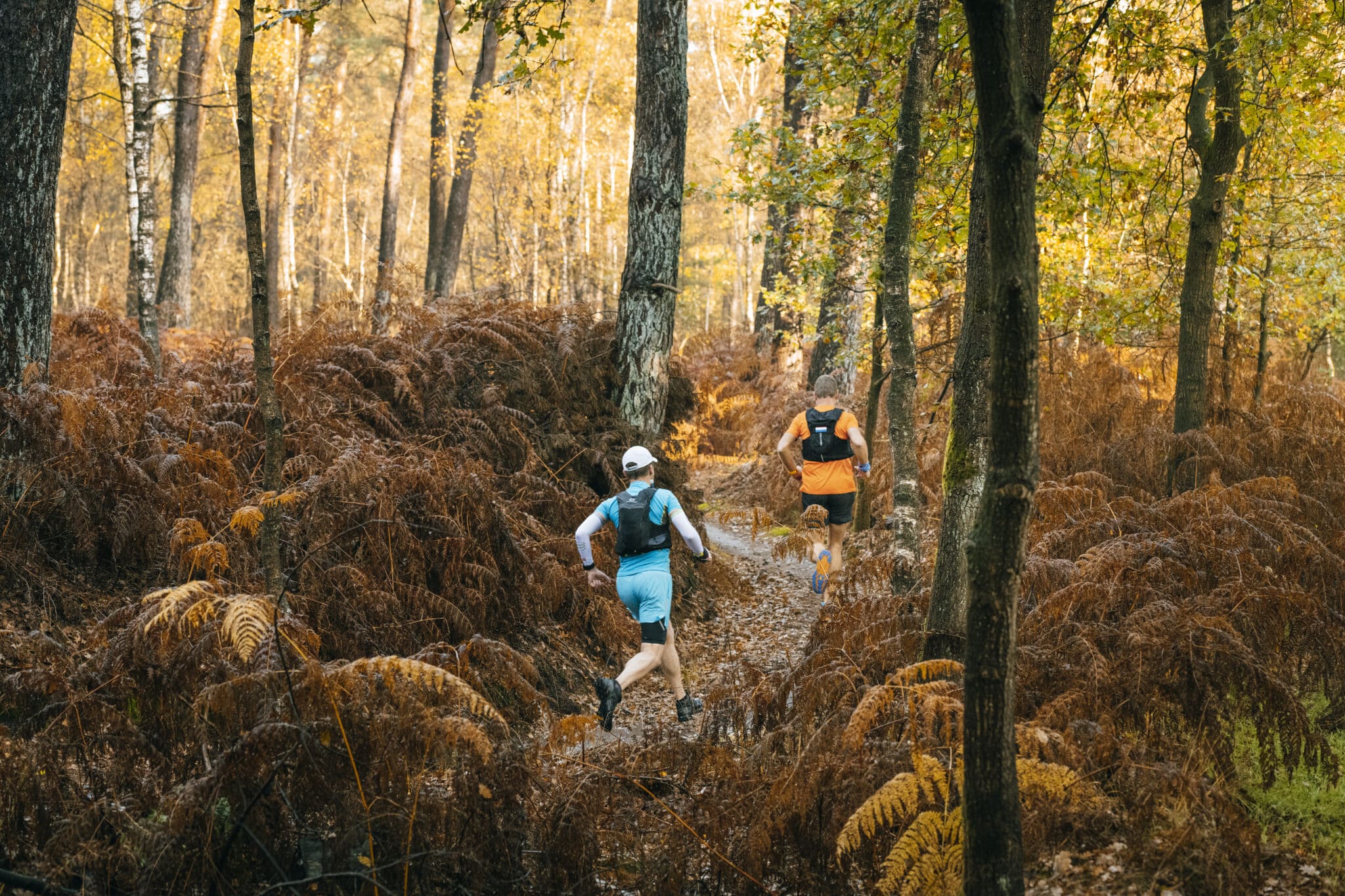 Natuurloop in de kijker: ontdek De Achterhoek - RunningNL